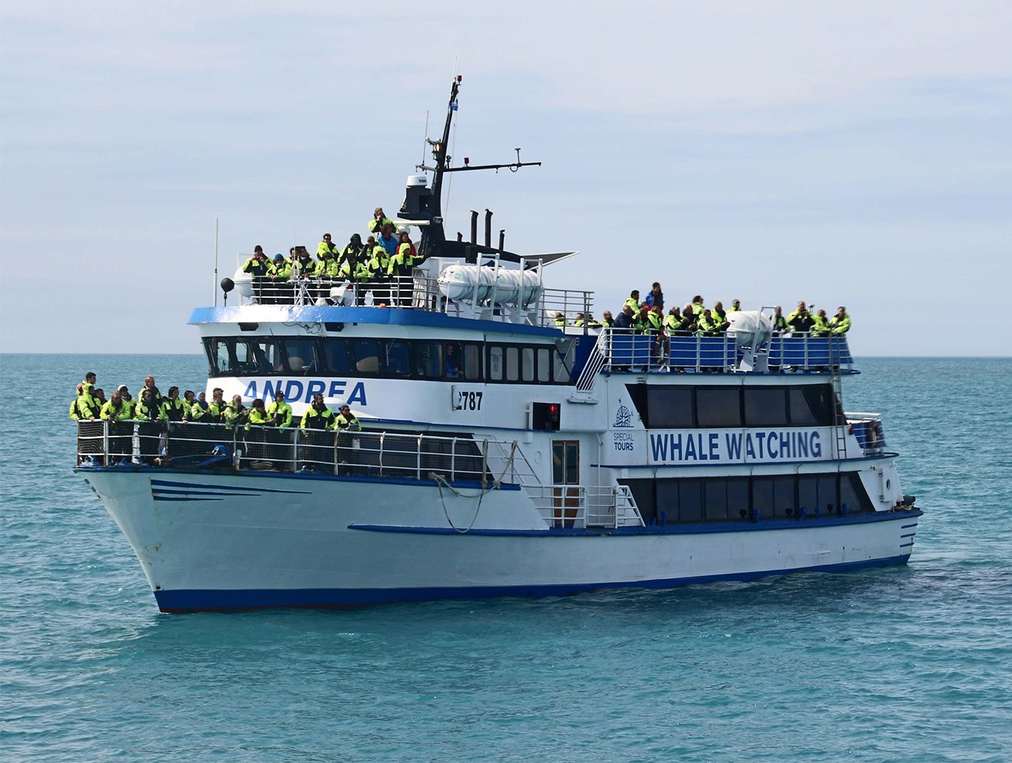 Nordic Summer With Humpbacks – Special Tours