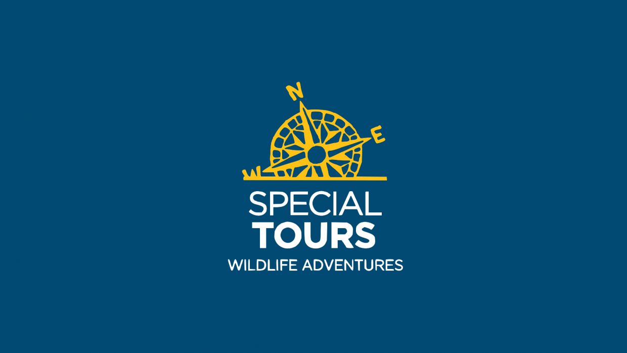 Special Tours & Whales of Iceland - Statement