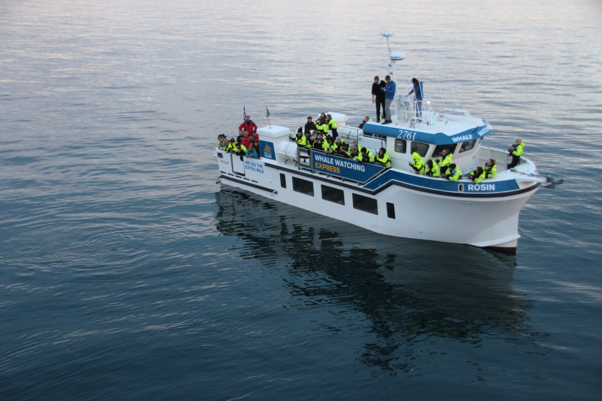 Whale Watching Express from Reykjavik